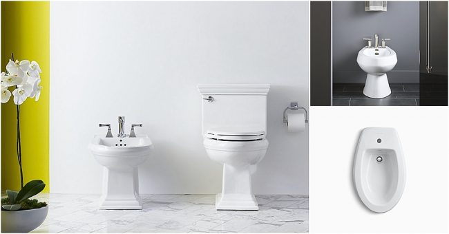 Everything You’ve Always Wanted to Know About the Bidet and Then Some ...