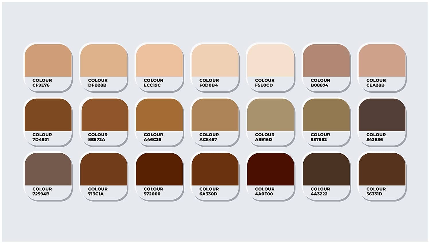 Pantone Validation Program for Skin Tones - WPL Interior Design