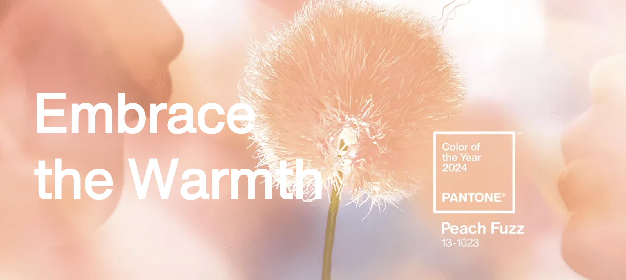 Pantone Color of the Year 2024: Fuzzy Peach - WPL Interior Design